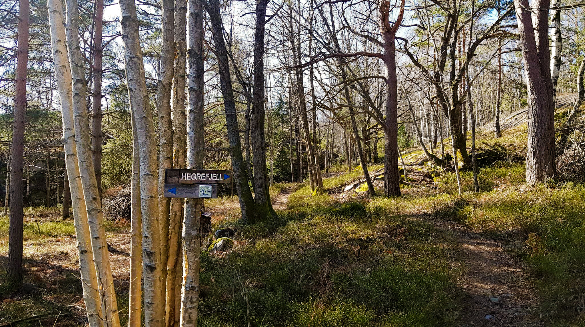 Topptur til Hegrefjell - Turstier in Helle, Kragerø - Kragerø