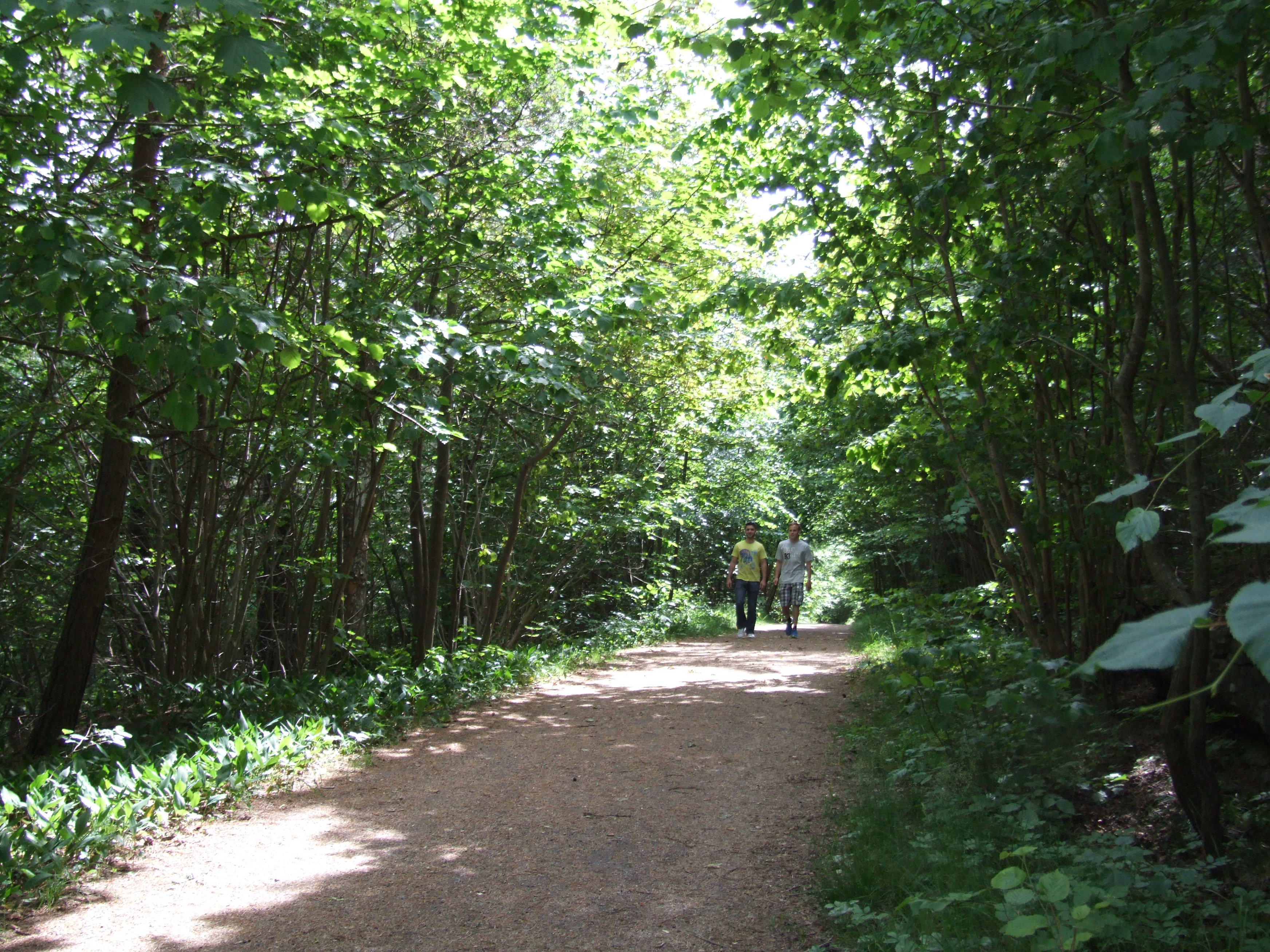 Tangen Fort - Turstier in Langesund, Bamble - Bamble