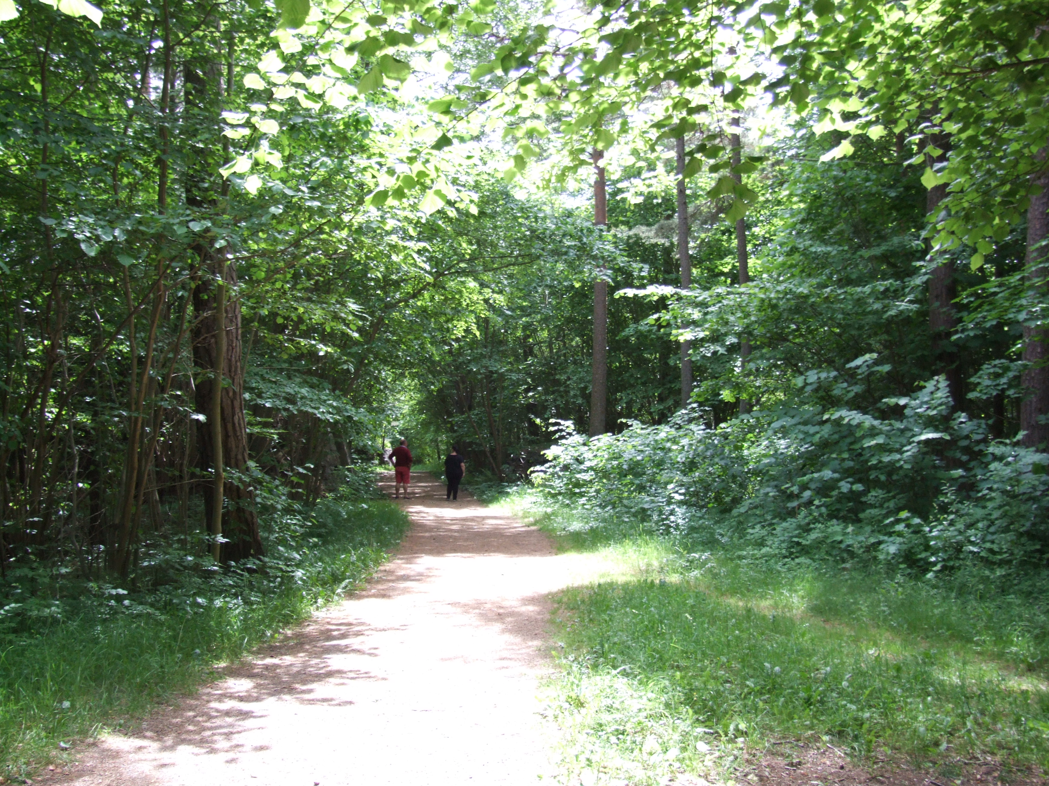 Tangen Fort - Turstier in Langesund, Bamble - Bamble