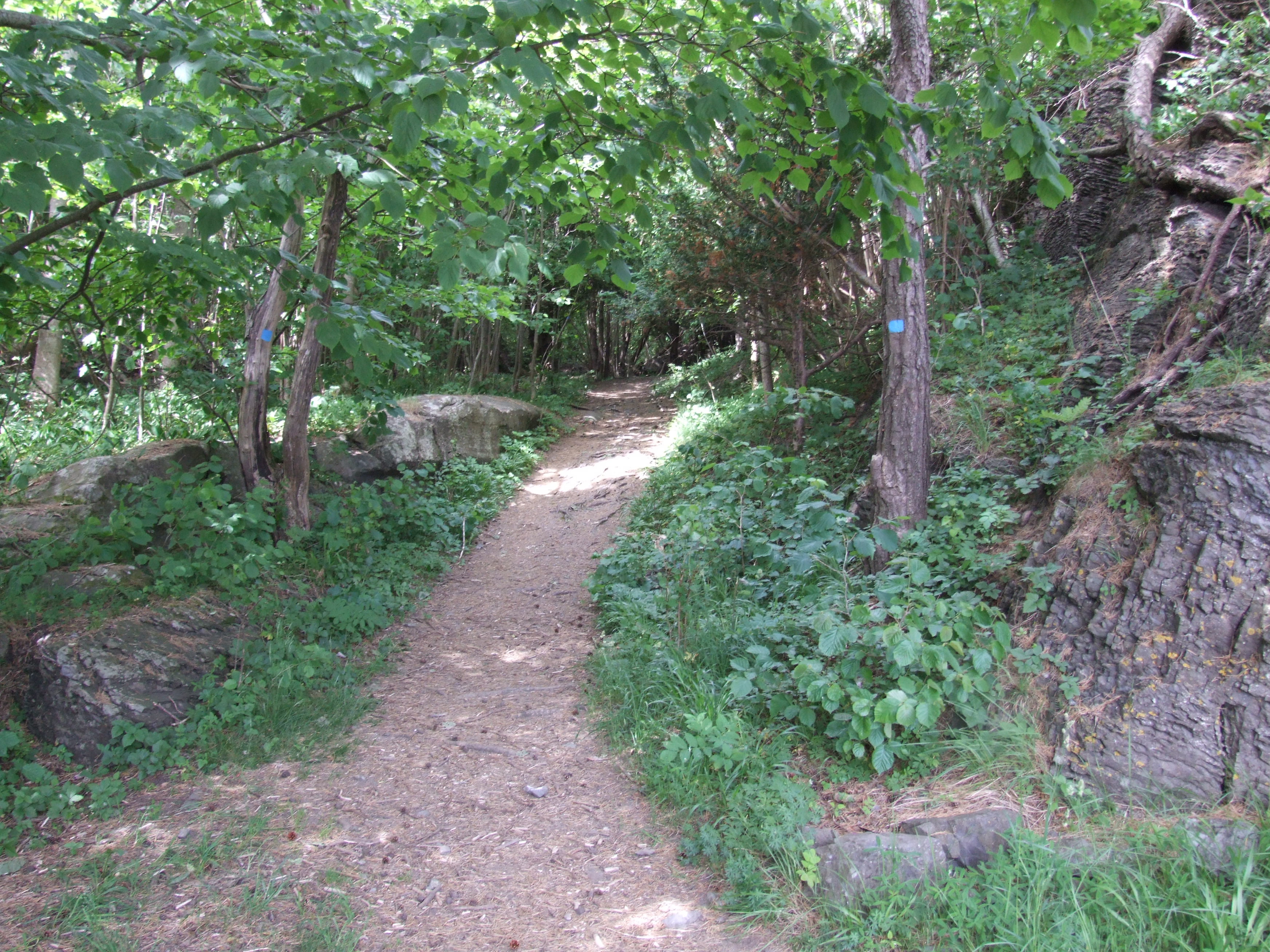 Tangen Fort - Turstier in Langesund, Bamble - Bamble