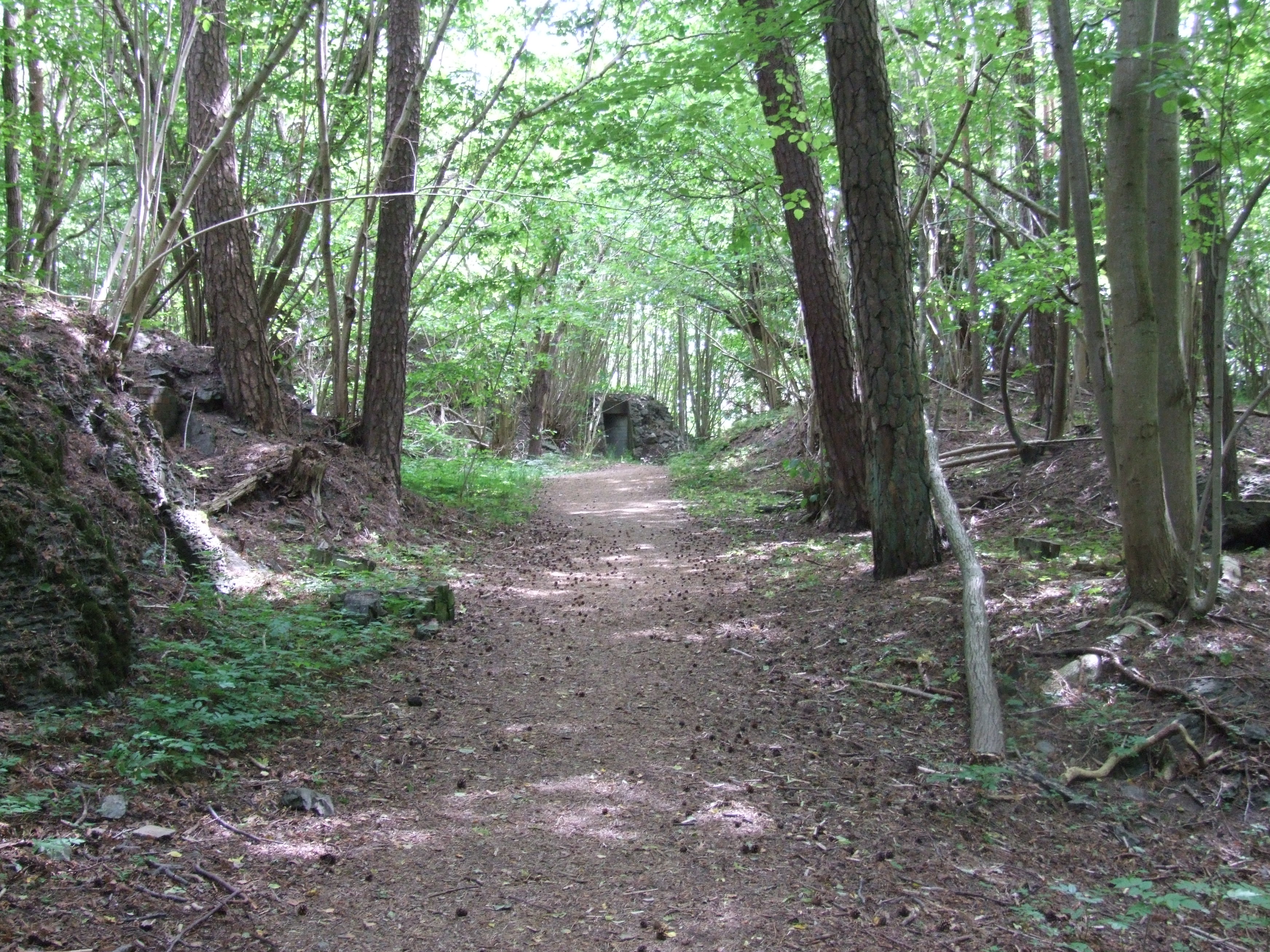Tangen Fort - Turstier in Langesund, Bamble - Bamble