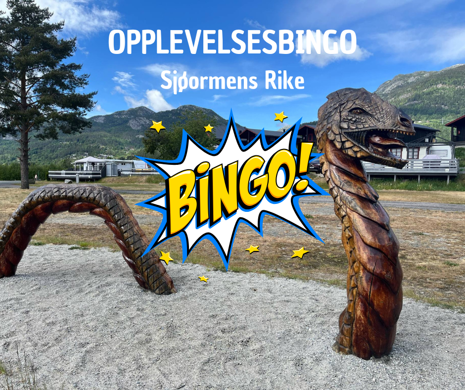 Opplevelsesbingo - Kva skjer