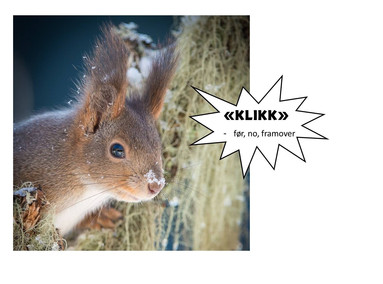 Klikk! - eit bileteshow av Jostein Hellevik - Foredrag