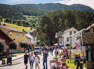 Utforsk naturen i Fyresdal - Tretoppvegen og spektakulære fjellturer ...