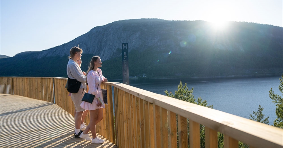 Utforsk naturen i Fyresdal - Tretoppvegen og spektakulære fjellturer ...