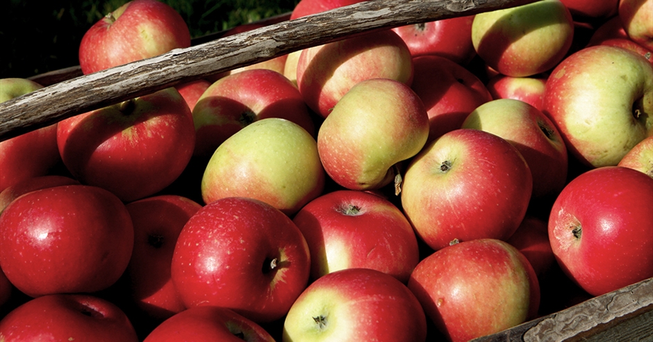 Matnyttige linker - Matrike