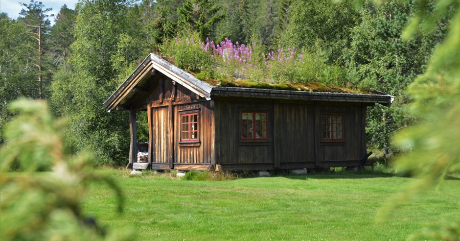 Fiskebustøylen - Hytter in Fyresdal, Fyresdal - Fyresdal