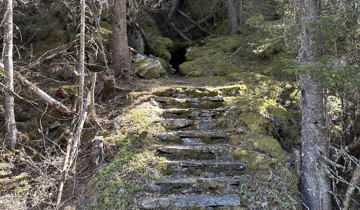 Cross-Cut - Vandring in Åmdals Verk, Tokke - Dalen