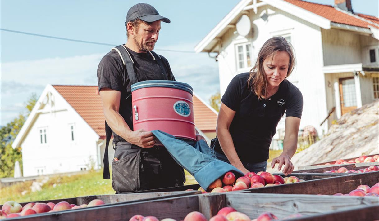 Lien Gård - Lokal mat in Akkerhaugen, Midt-Telemark - Matrike