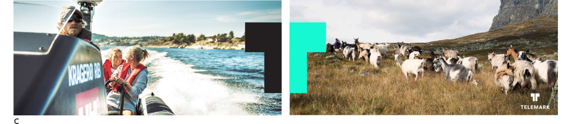 Telemark Designmanual