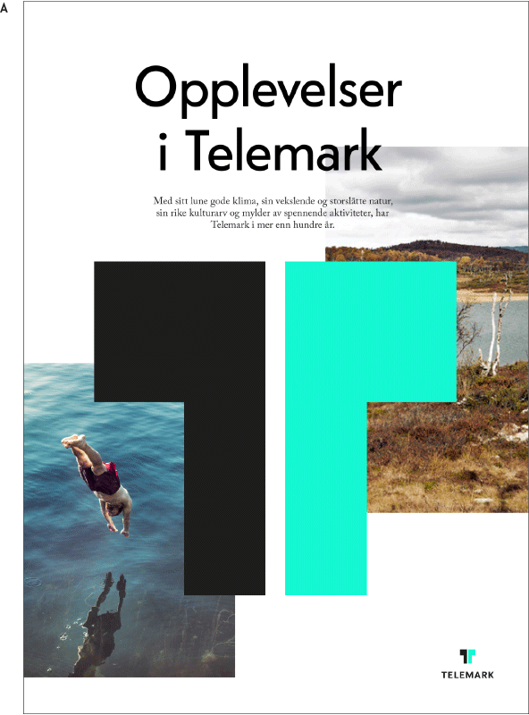 Telemark Designmanual